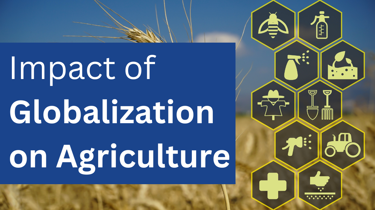 Impact of Globalization on Agriculture - ixambee Impact of Globalization on Agriculture - ixambee